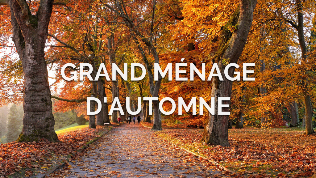Grand ménage d'automne